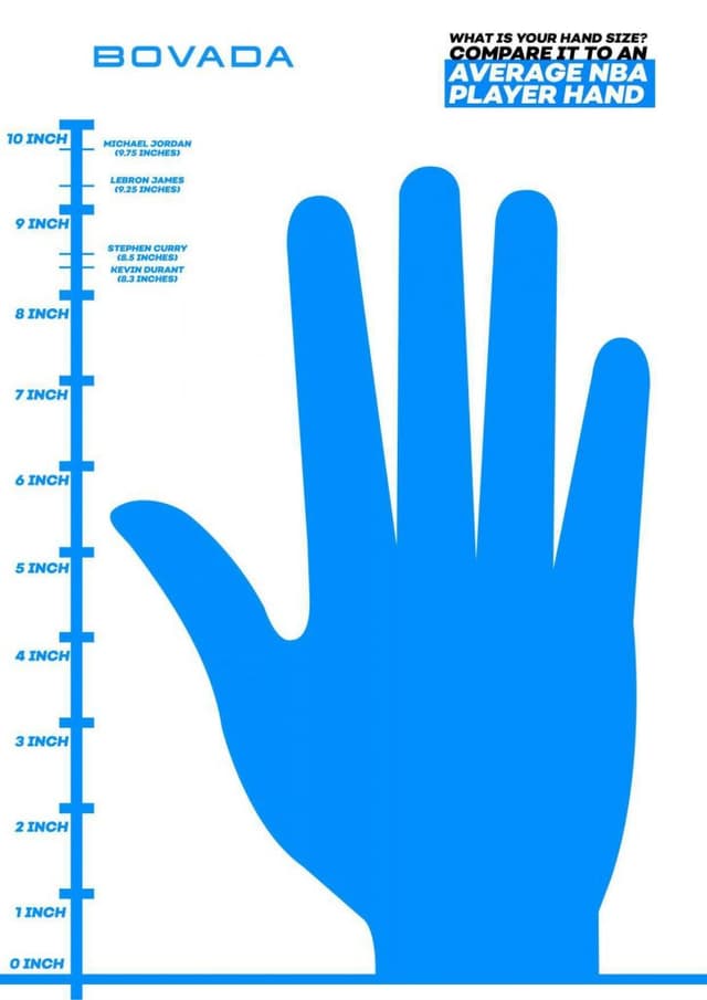Compare Your Hand Size With NBA Players - Bovada